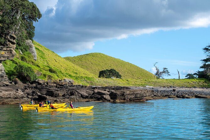 Motukorea / Browns Island Sea Kayak Journey - What to Expect on Your Kayaking Trip