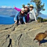 Mou Waho Island Cruise & Self-Guided Nature Walk - What makes this tour exceptional?