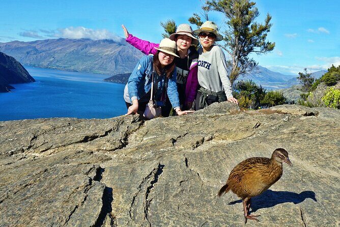 Mou Waho Island Cruise & Self-Guided Nature Walk - What makes this tour exceptional?
