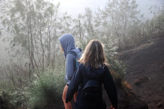 Mount Batur Hiking With Terraced paddy Field Visit - What to Expect: A Well-Structured Adventure