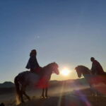 Mount Bromo & Ijen Open Trip 3D2N - Sunrise & Blue Fire Tour - Transportation and Logistics