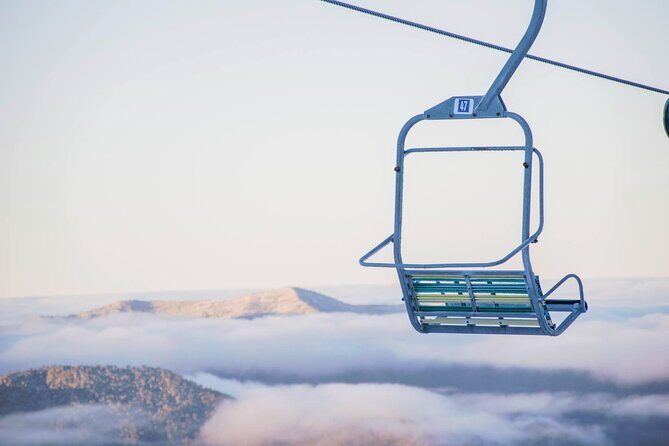 Mount Buller 1 Day Guided Tour - Who Will Love This Tour?