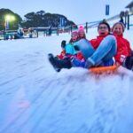 Mount Buller Sightseeing Tour - The Scenic Drive Through High Country Victoria