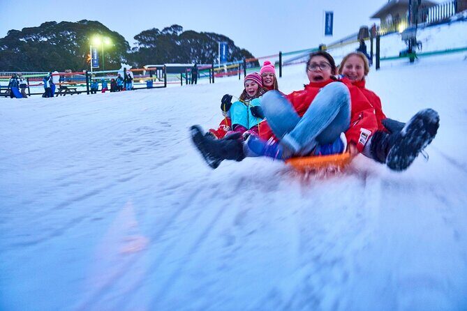 Mount Buller Sightseeing Tour - The Scenic Drive Through High Country Victoria