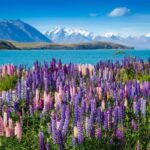 Mount Cook Day Tour: Mount Cook to Christchurch - Transportation and Comfort