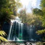 Mount Field Day Tour Private Charter Service - Who Would Enjoy This Tour?