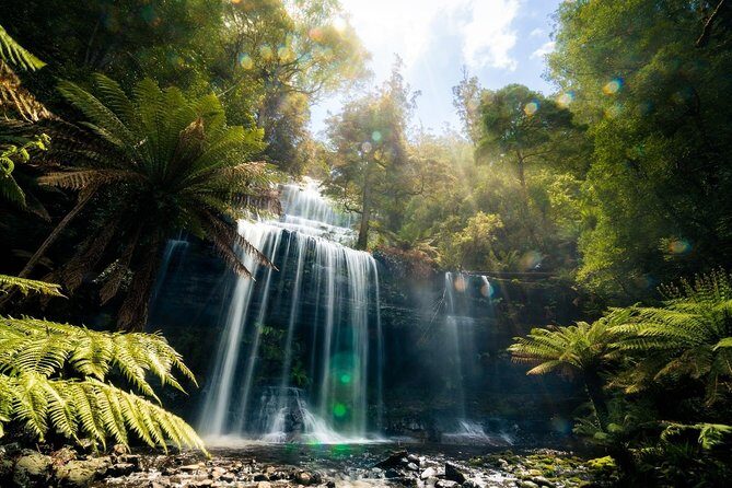 Mount Field Day Tour Private Charter Service - Who Would Enjoy This Tour?