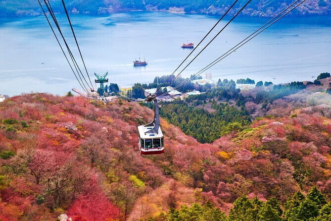 Mount Fuji and Hakone Private Day Trip by Car/Van - in English - The Value of a Personalized Experience
