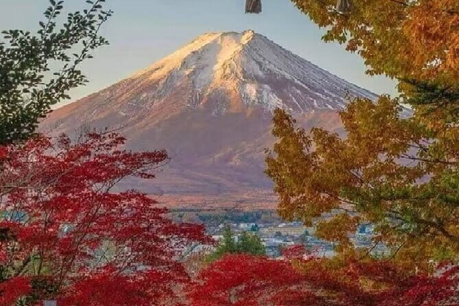 Mount Fuji Day Tour:Scenic Lakes,Village, Pagoda,Oshino Hakkai - What Travelers Are Saying