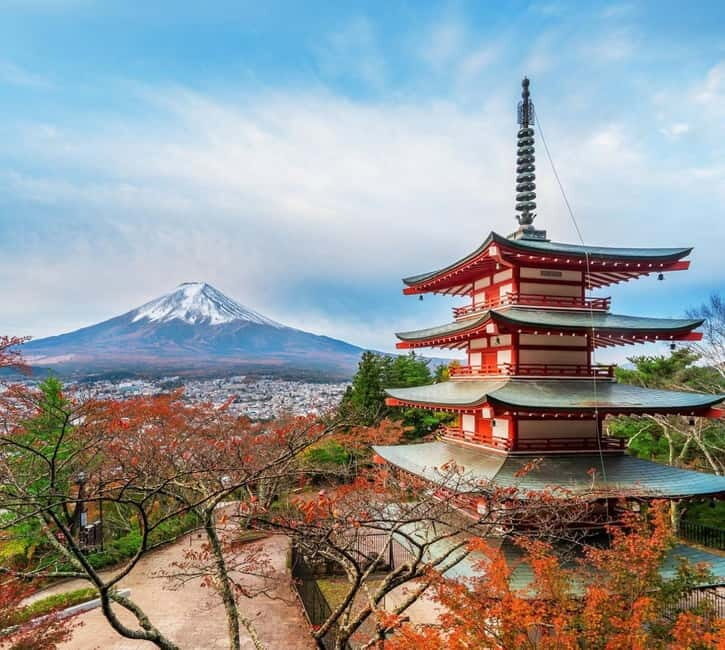 Mount Fuji Full-Day Private Customizable Tour From Tokyo - A Deep Dive into the Tour Experience