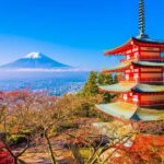 Mount Fuji Full-Day Private Tour from Tokyo (Customizable) - Comfort and Transportation: What to Expect