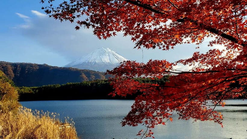 Mount Fuji Full-Day Private Tour from Tokyo (Customizable) - Final Thoughts: Is This Tour Worth It?