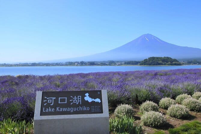 Mount Fuji Full Day Tour form Tokyo Lake Kawaguchi & Yamanaka - What Makes This Tour Stand Out?