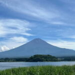 Mount Fuji & Hakone Private Tour with Cherry Blossoms - What’s Included and What’s Not?