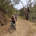 Mount Lofty Downhill Bike Tour & Cleland Wildlife Park Visit - Who Is This Tour Best For?