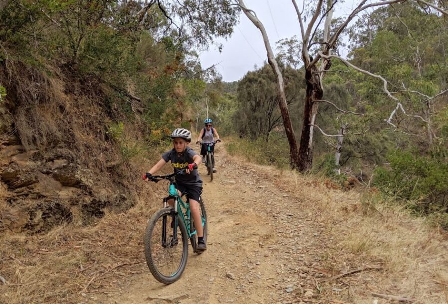 Mount Lofty Downhill Bike Tour & Cleland Wildlife Park Visit - Who Is This Tour Best For?