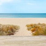 Mount Maunganui Beach Escape: Scenic Day Trip from Auckland - Who Will Love This Tour?
