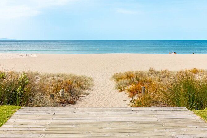 Mount Maunganui Beach Escape: Scenic Day Trip from Auckland - Who Will Love This Tour?