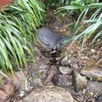 Mount Maunganui Hkoi Walking Tour - An In-Depth Look at the Mount Maunganui Hkoi Walking Tour