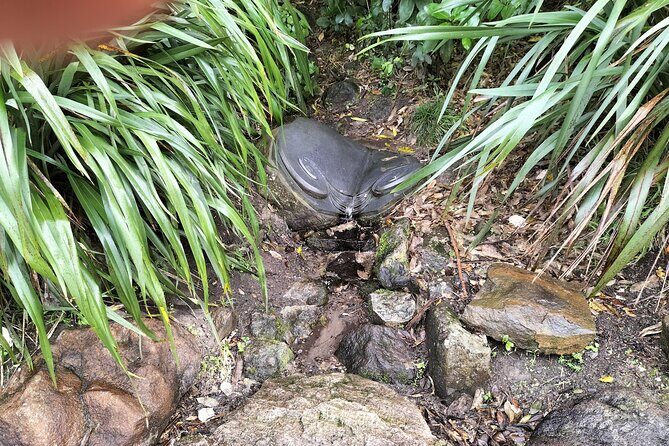 Mount Maunganui Hkoi Walking Tour - An In-Depth Look at the Mount Maunganui Hkoi Walking Tour