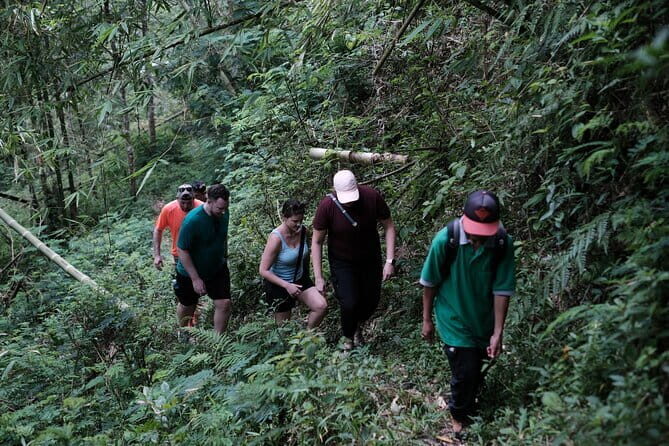 Mount Merapi: A Serene Soft Trek Through Botanic Villages Tour - Transportation and Group Size