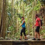 Mount Tamborine Hop on Hop off Bus from Brisbane - Who Should Consider This Tour?