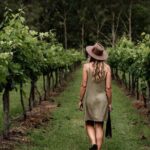 Mount Tamborine Winery Tour with Gourmet lunch - What makes this tour stand out?