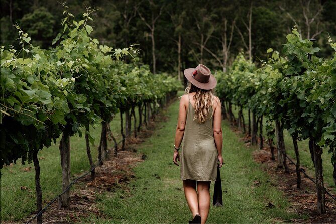 Mount Tamborine Winery Tour with Gourmet lunch - What makes this tour stand out?