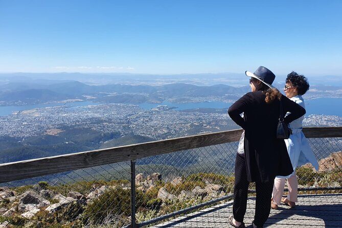 Mount Wellington Pinnacle 2 Hours Small Group Tour - The Scenic Drive Through Hobart & South Hobart