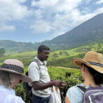 Mountain hiking in Munnar (Half day ) - The Viewpoints and Landmarks