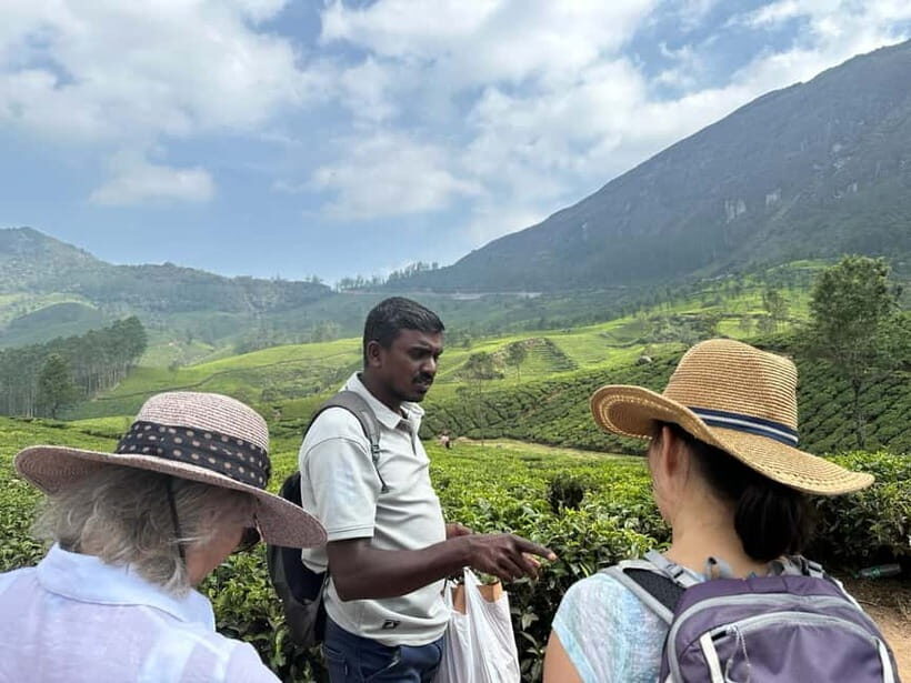 Mountain hiking in Munnar (Half day ) - The Viewpoints and Landmarks