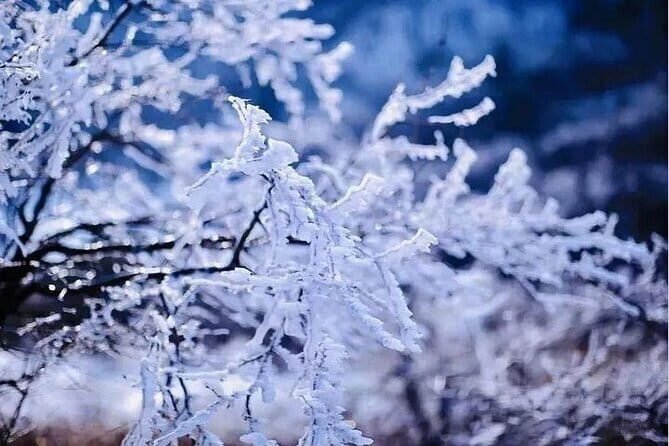 Mountain Lake Hiking -1-Day Scenic Trailwalking in Anhui Province - Authentic Experiences and What Past Travelers Say