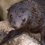 Mrahau: Abel Tasman Marine Reserve Kayak Tour - Final Thoughts