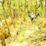 Mt Aspiring Full Day Canyon ex Queenstown or Wanaka - Frequently Asked Questions