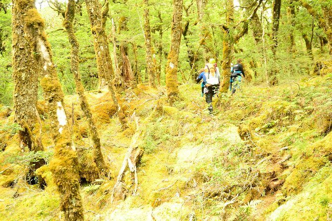 Mt Aspiring Full Day Canyon ex Queenstown or Wanaka - Frequently Asked Questions