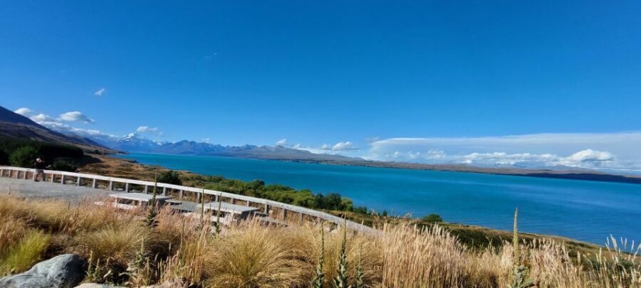 Mt Cook Tour: Finish at Queenstown, Christchurch or Dunedin - Analyzing the Value