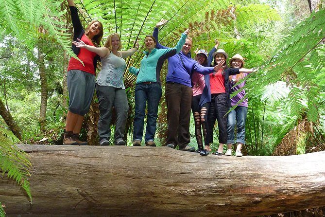 Mt Field, Mt Wellington & Tassie Devils Active Tour from Hobart - Who Is This Tour Best Suited For?