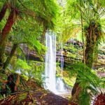 Mt Field National Park and Russell Falls from Hobart - The Guide’s Role