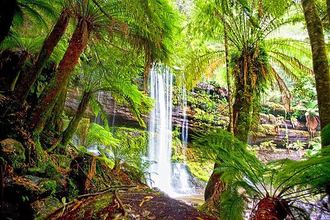 Mt Field National Park and Russell Falls from Hobart - The Guide’s Role