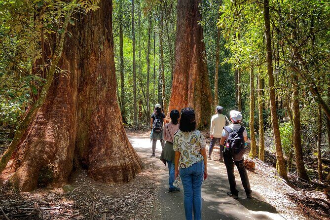 Mt Field National Park and Russell Falls with Bonorong Wildlife - Transport and Comfort