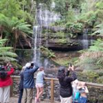 Mt Field Shore Excursion - Why This Tour Works Well for Different Travelers