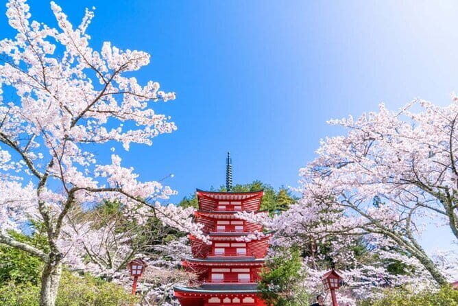 Mt Fuji 5th Station/Arakurayama Sengen Park & Oshino Hakkai Tour - The Sum Up