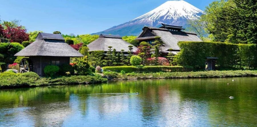 Mt.FUji and Cherry Blossom Full Day Trip with English Driver - What to Expect at Key Stops