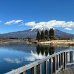 Mt.Fuji area Tour from Shimizu Port /Small Bus - Practical Insights: What to Expect