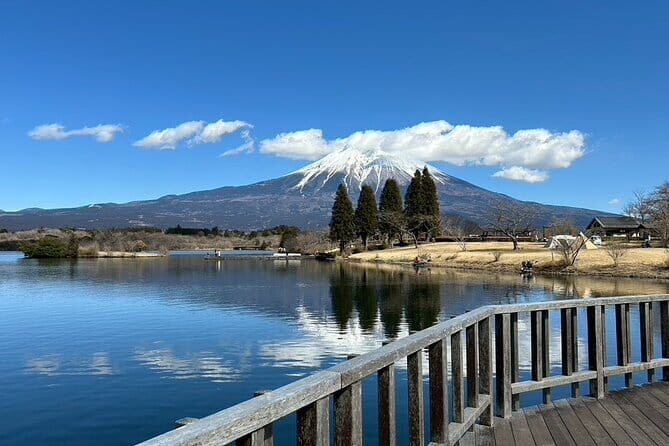 Mt.Fuji area Tour from Shimizu Port /Small Bus - Practical Insights: What to Expect