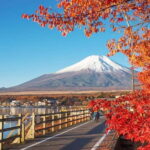 Mt Fuji Hakone/Kamakura Tour: FREE Ropeway& Lake Ashi Cruise - Practical Details: Transportation, Timing, and Tips