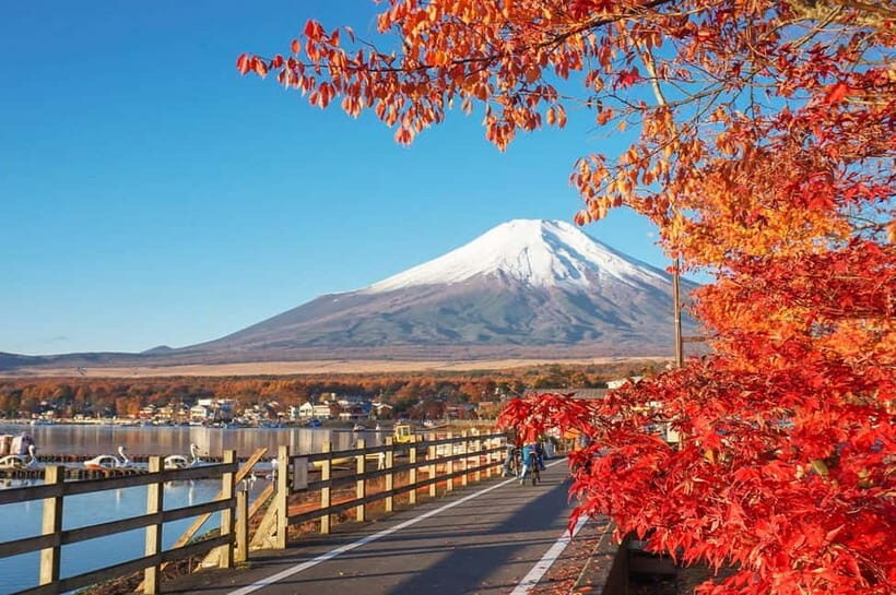 Mt Fuji Hakone/Kamakura Tour: FREE Ropeway& Lake Ashi Cruise - Practical Details: Transportation, Timing, and Tips
