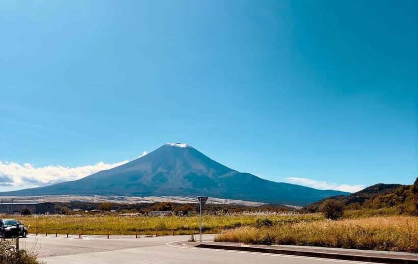 Mt. Fuji & Hakone VIP One Day Tour with pickup and drop off - Why This Tour Offers Value