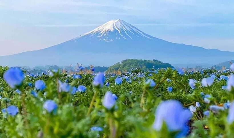 Mt. Fuji & Lake Kawaguchiko RopewayOshino Hakkai 1-Day Tour - Who Is This Tour Best For?