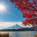 Mt. Fuji & Suntory Hakushu Distillery Whisky Museum - An In-Depth Look at the Tour Experience